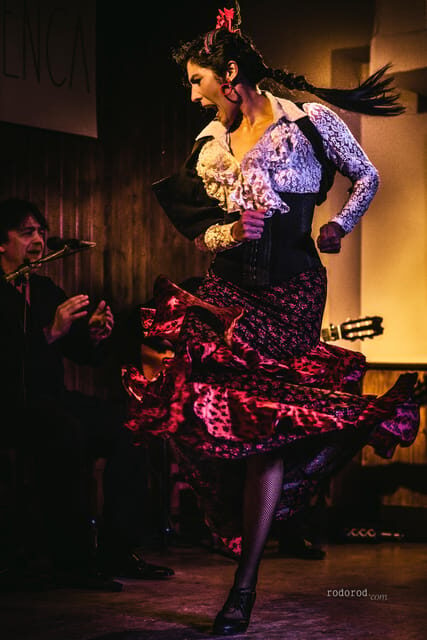 Madrid: Local Flamenco Show at El Cortijo - The Performance
