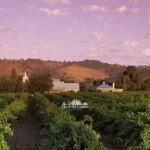 Madrid: Luxury Winery Emilio Moro Tour - Detailed Breakdown of the Itinerary
