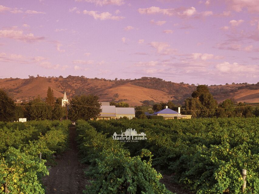 Madrid: Luxury Winery Emilio Moro Tour - Detailed Breakdown of the Itinerary