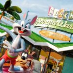 Madrid: Parque Warner Beach Entry Ticket - Is It Worth the Price?