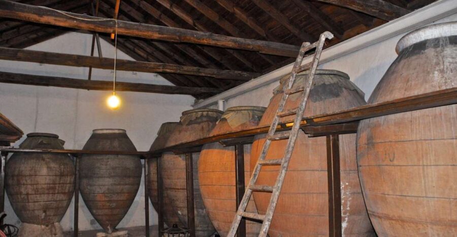 Madrid: Regional Madrid Wineries Guided Tour and Tastings - Logistical Details and Practicality