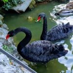 Madrid: Retiro Park Guided Tour with a Photographer - Why This Tour is Worth Considering