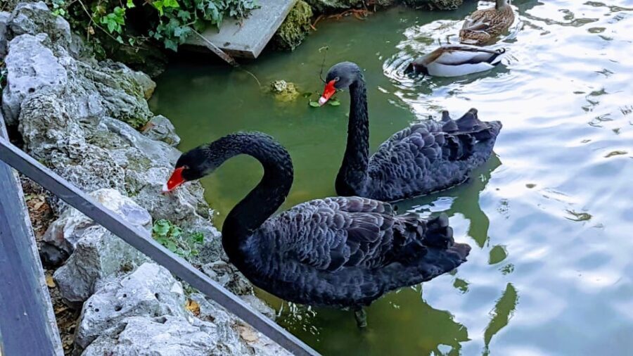 Madrid: Retiro Park Guided Tour with a Photographer - Why This Tour is Worth Considering