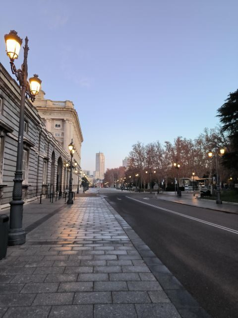 Madrid: Royal Palace & Prado Museum Private Tour - What Makes This Tour Stand Out