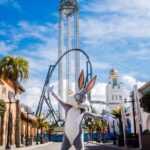 Madrid: Warner Park Entry Ticket - Who Will Love Parque Warner Madrid?