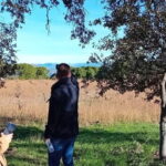 Madrid Wine Tour: Visit Two Wineries with Tastings - The Itinerary: A Step-by-Step Breakdown
