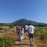 Madrid Winery Tour with Tasting & Sommelier Guide - Transportation: A Scenic Coach Ride