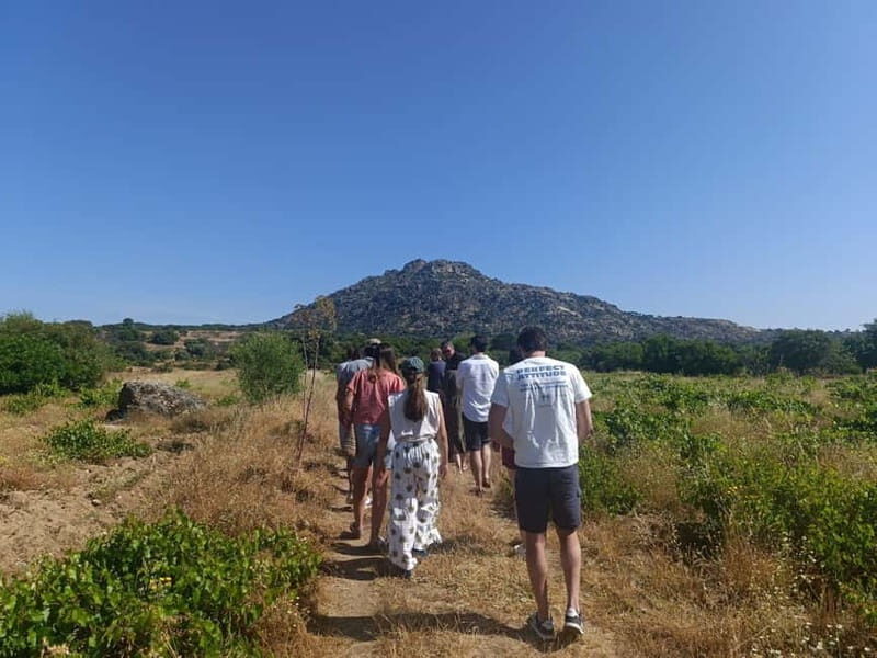 Madrid Winery Tour with Tasting & Sommelier Guide - Transportation: A Scenic Coach Ride