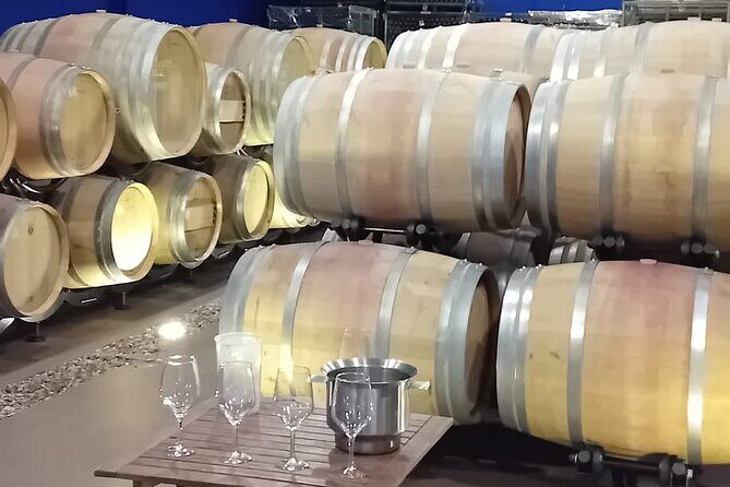 Madrid Winery Tour with Tasting & Sommelier Guide - What Sets This Tour Apart?