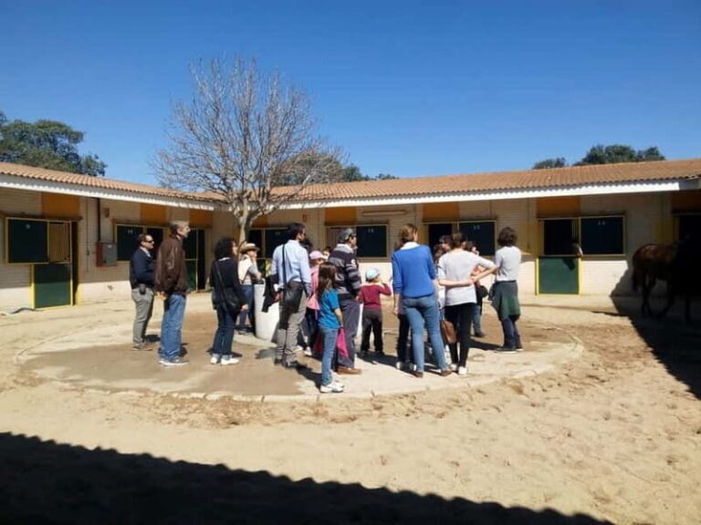 Madrid: Zarzuela's Racecourse Guided Tour - How Does It All Add Up?