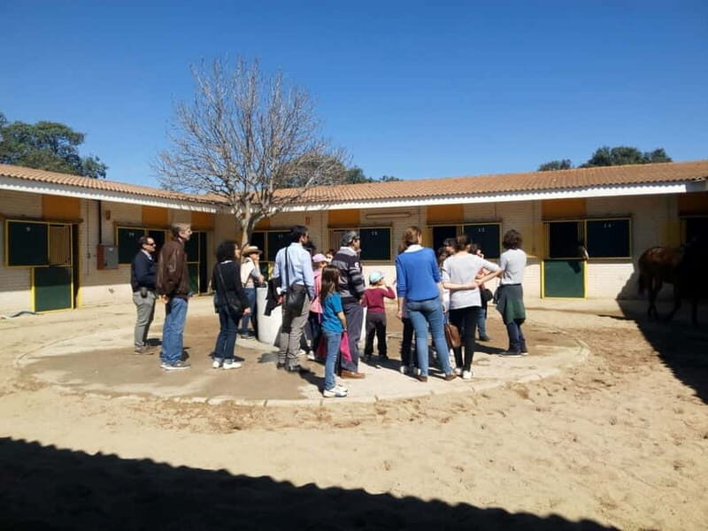 Madrid: Zarzuela's Racecourse Guided Tour - How Does It All Add Up?