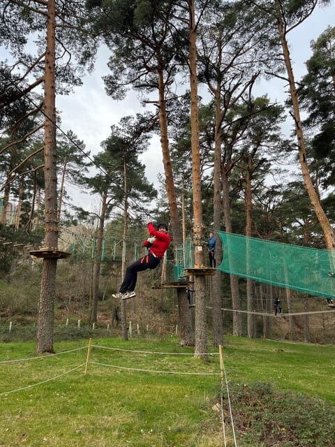 Madrid: Zip line circuits high in the trees - Authentic Insights from Visitors