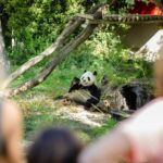 Madrid: Zoo Aquarium Madrid Ticket - The Animal Collection — Something for Everyone
