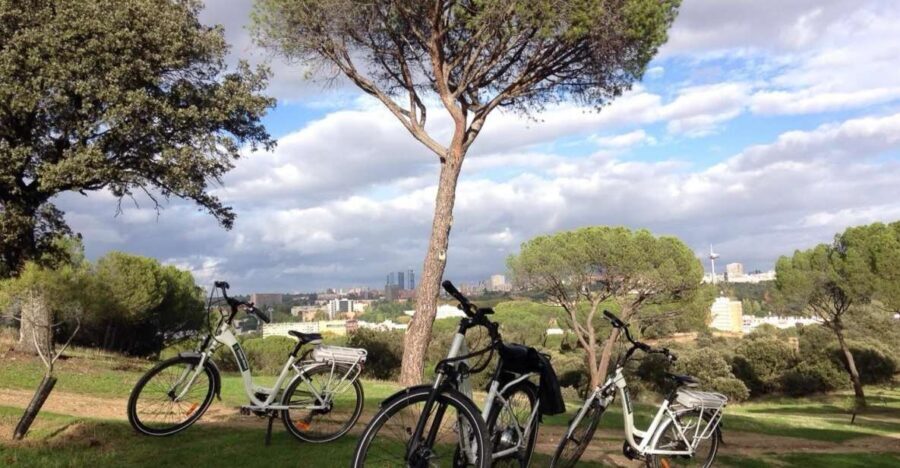 Madrids River Side & Casa de Campo Electric Bike Tour - Practical Details and Value