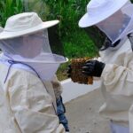 Magical World of Beekeeping on São Miguel Azores Private Tour - Why This Tour Offers Good Value
