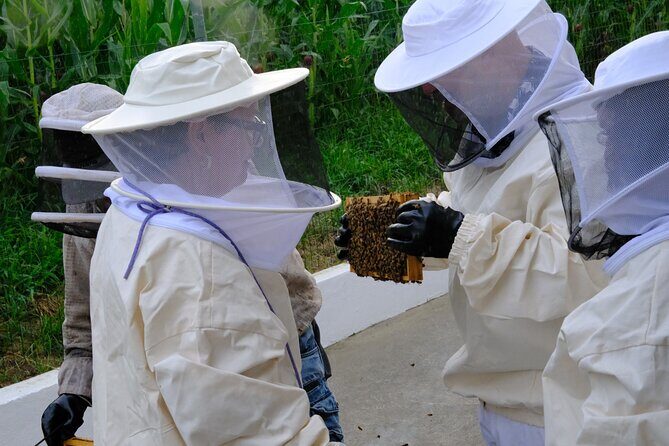 Magical World of Beekeeping on São Miguel Azores Private Tour - Why This Tour Offers Good Value