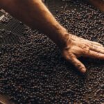 Mahón: Gin Distillery Tour with Tasting & Appetizers - Who Will Love This Tour?