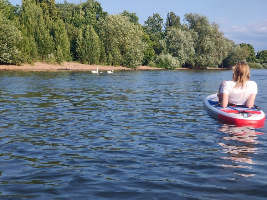 Mainz: Stand Up Paddling Tour on the Rhine River - Why the Price Offers Good Value
