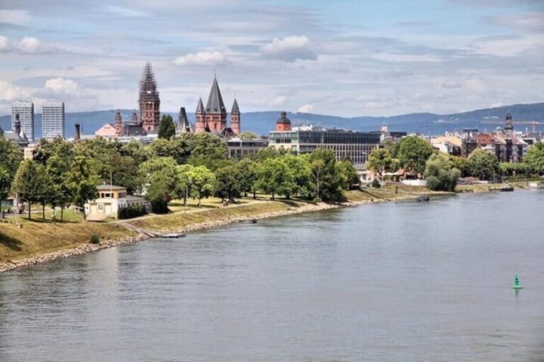 Mainz : Walking Custom Tour with a Local Guide - Who Will Enjoy This Tour?