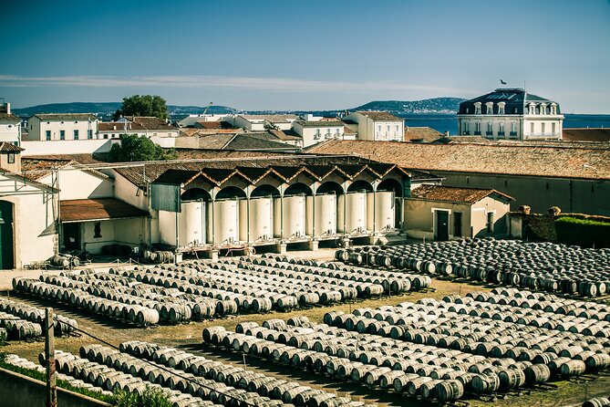 Maison Noilly Prat VIP tour, wine and vermouth tastings - Key Points