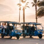 Málaga 1-hour by TukTuki: Essential and Private Tour - The Practical Side