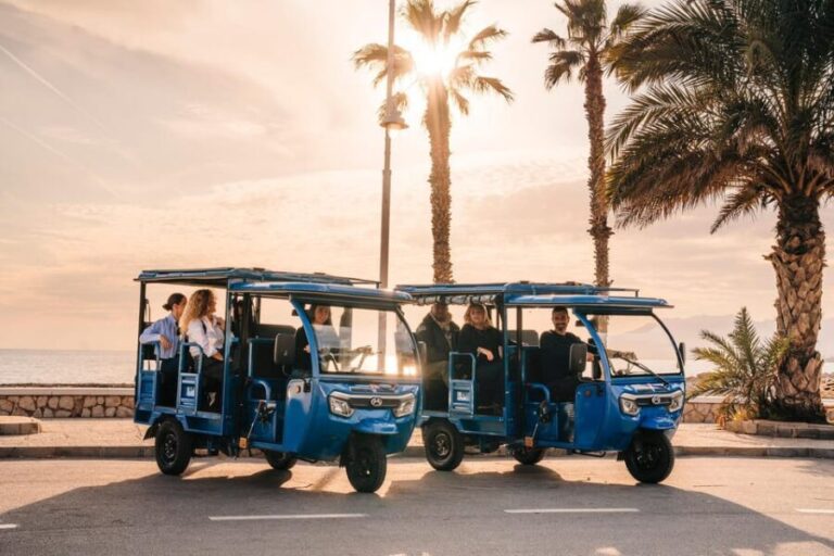 Málaga 1-hour by TukTuki: Essential and Private Tour - The Practical Side