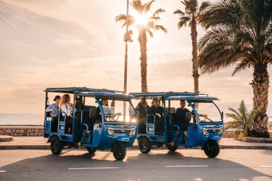 Málaga 1-hour by TukTuki: Essential and Private Tour - The Practical Side
