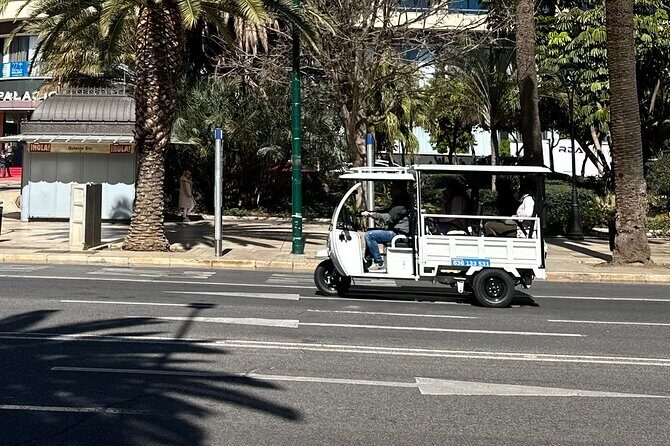 Malaga by Tuk Tuk i : 1 or 2 hours Private city tour - What Do Reviews Say?