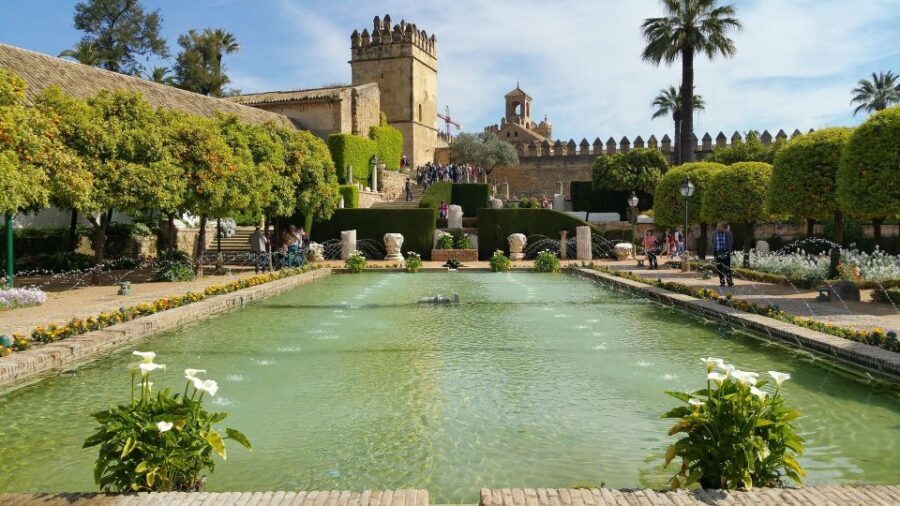Málaga: Cordoba Day Trip and Optional Mosque-Cathedral Entry - The Logistics: Comfort, Timing, and Value