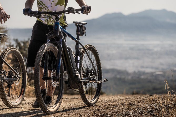 Malaga E-MTB Tour: Botanical Garden, Natural Park and Port of Malaga - Itinerary Breakdown — What Youll See and Do