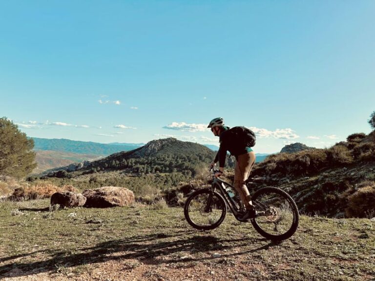 Málaga: "El Chorro" E-bike guided tour 4h - The Practical Side
