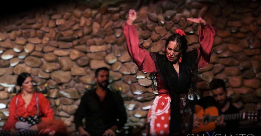 Malaga: El Gallo Ronco Flamenco Show Admission Ticket - What Makes This Flamenco Show Special?