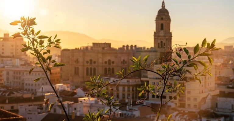 Malaga: Express Walk with a Local in 60 minutes - What Makes This Tour Special?