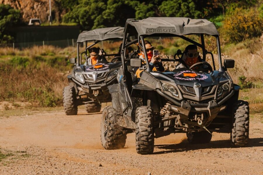 Málaga: Off-Road Buggy Tour with Panoramic Views of Mijas - What’s Included and What to Keep in Mind