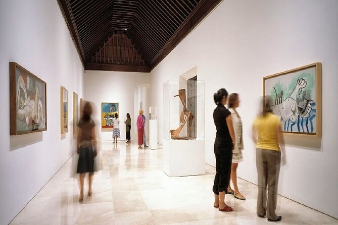 Malaga: Picasso Museum Tour Art Expert Guide entry included - Key Points