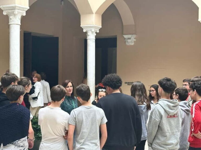 Malaga: Picasso Museum Tour with Expert Art Tour Guide for small groups - Who Will Love This Tour?