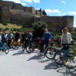 Malaga: Private City Highlights Bike Tour with Old Town - Practical Tips and Considerations