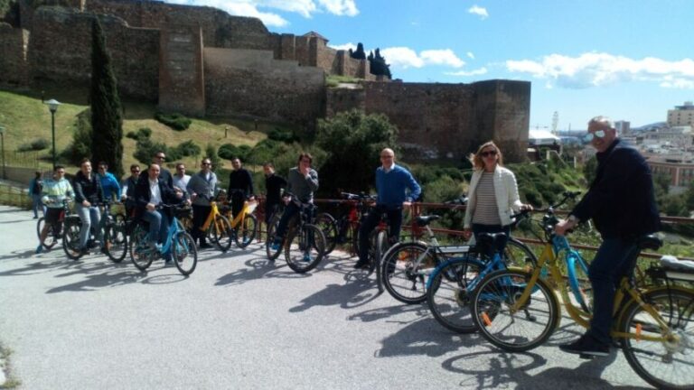 Malaga: Private City Highlights Bike Tour with Old Town - Practical Tips and Considerations