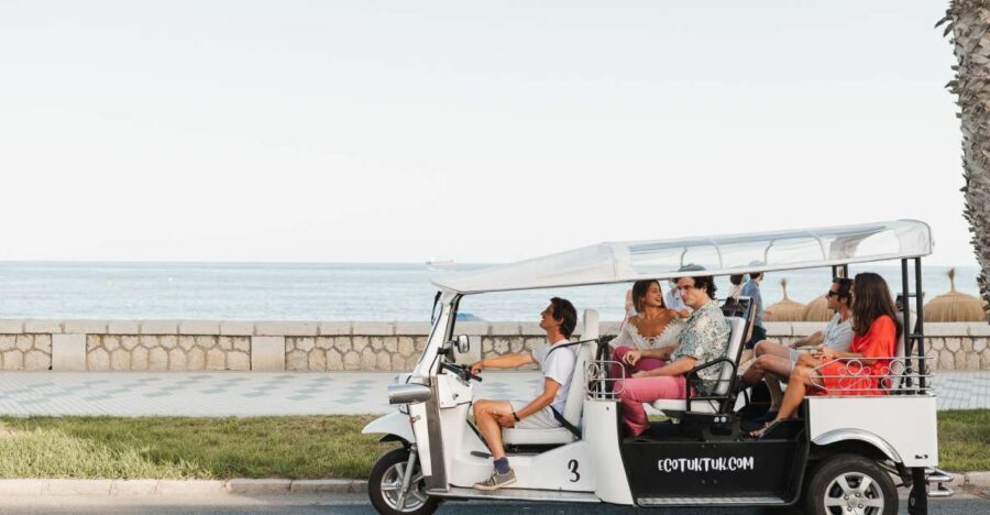Malaga: Private City Tour by Eco Tuk Tuk - What the Reviews Say
