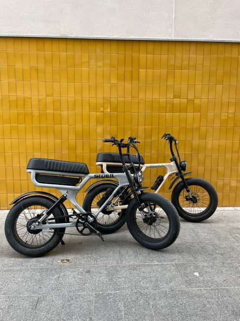 Málaga: Private Electric Fatbike Tour with Guide - Itinerary Breakdown: From Coastline to Culture