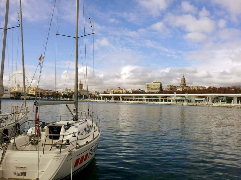 Malaga: Private Walking Tour with Official Guide - Who Will Love This Tour?