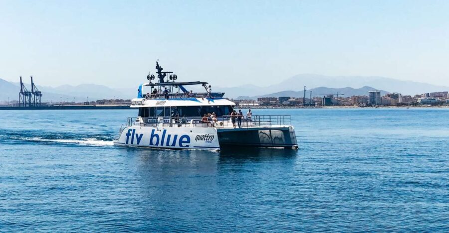 Malaga: Scenic Catamaran Cruise - Who Is This Experience Best For?