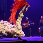 Malaga: Teatro Flamenco Malaga Live Flamenco Show - The Real Deal: What Travelers Say