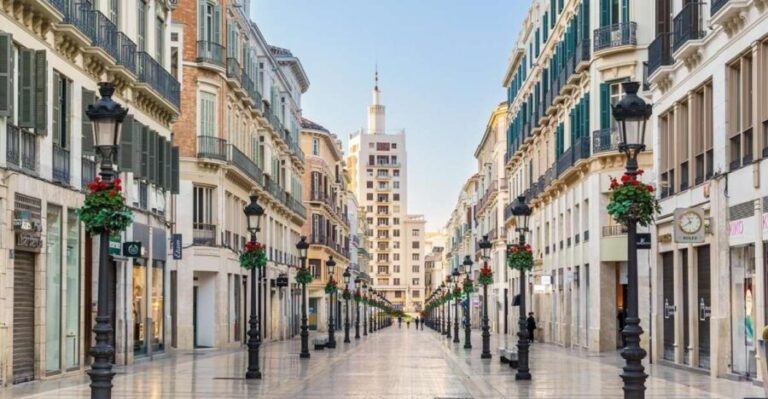 Malaga: Thyssen Museum 2-Hour Private Guided Visit - Practical Considerations
