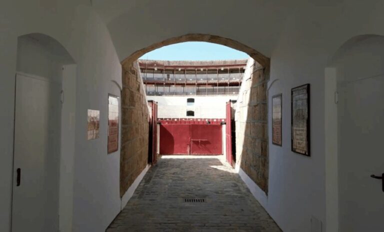 Malaga: Tour of Malagueta Bullring & Immersive Exhibition - A Deep Dive into the Malagueta Bullring Experience