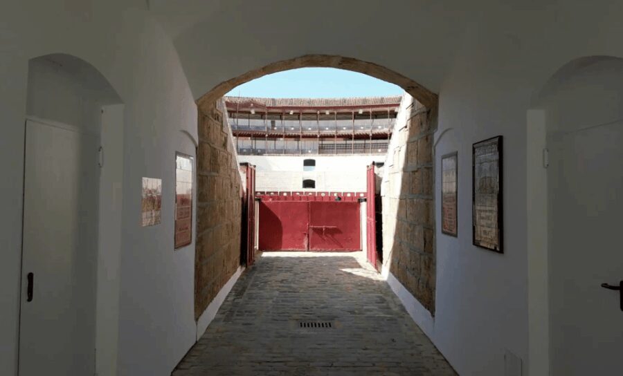 Malaga: Tour of Malagueta Bullring & Immersive Exhibition - A Deep Dive into the Malagueta Bullring Experience