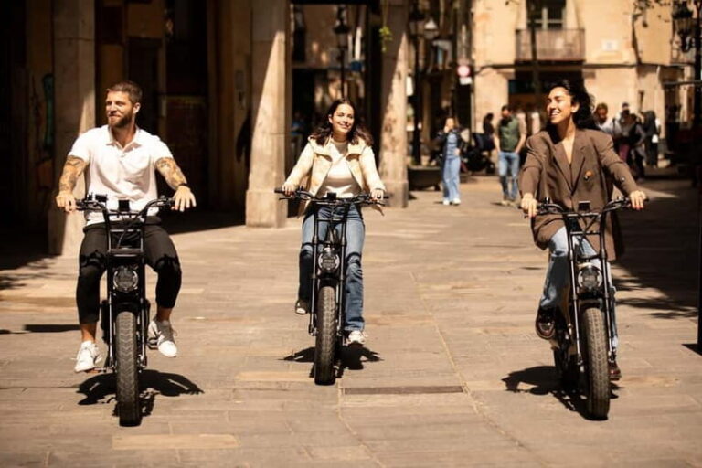 Malaga: Up to 8 hour Electric Fatbike Rental - The Itinerary and What to Expect