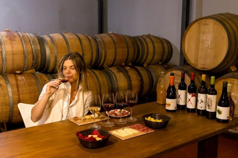 Malaga: Vineyard and Cellar Visit with 6 Top Wines and tapas - The Garage Cellar and Wine Tasting