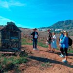 Malaga: White Village, Vineyard, and Wine Tasting Wine Tour - Exploring the Itinerary in Detail