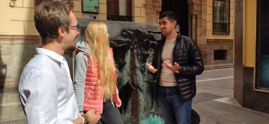 Malaga: Wine Guided Tour - What to Expect: From Streets to Cellars